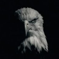 Иконка канала Добрый Дагер