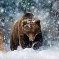 Иконка канала Паха