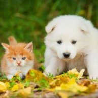 Иконка канала Играем вместе и смотрим вместе.