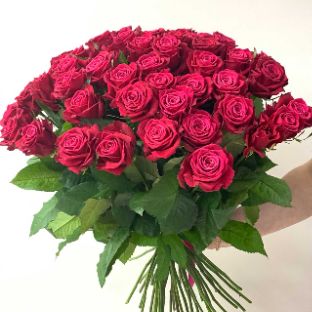 Иконка канала channel50234773