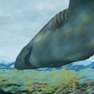 Иконка канала туторщик