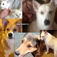 Иконка канала Vita Sfera