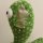 Иконка канала CACTUSIC_RU