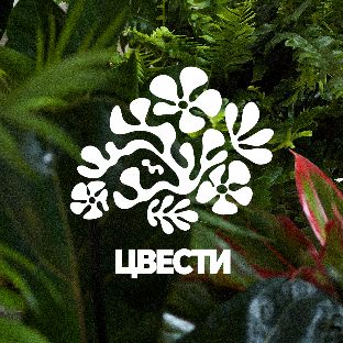 Иконка канала цвести | ассортимент Казань