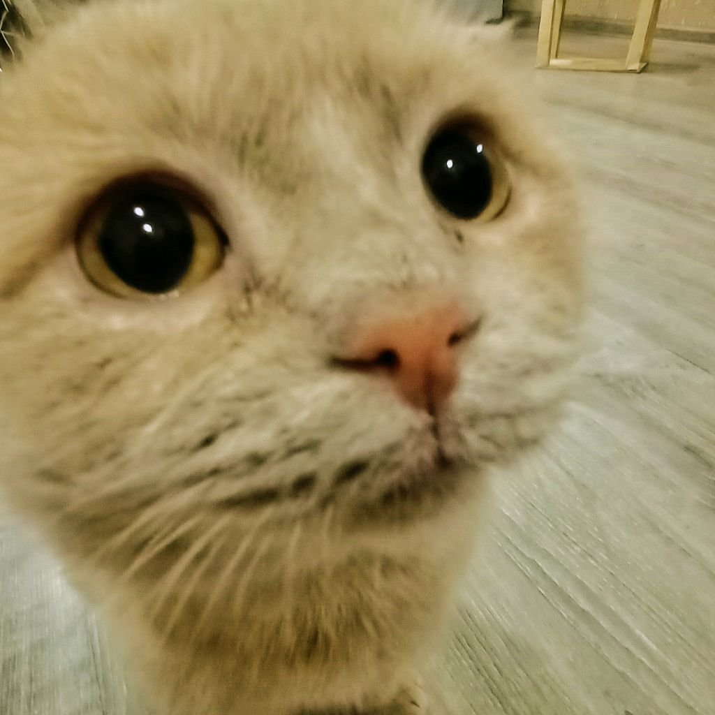 Иконка канала KOLYAN