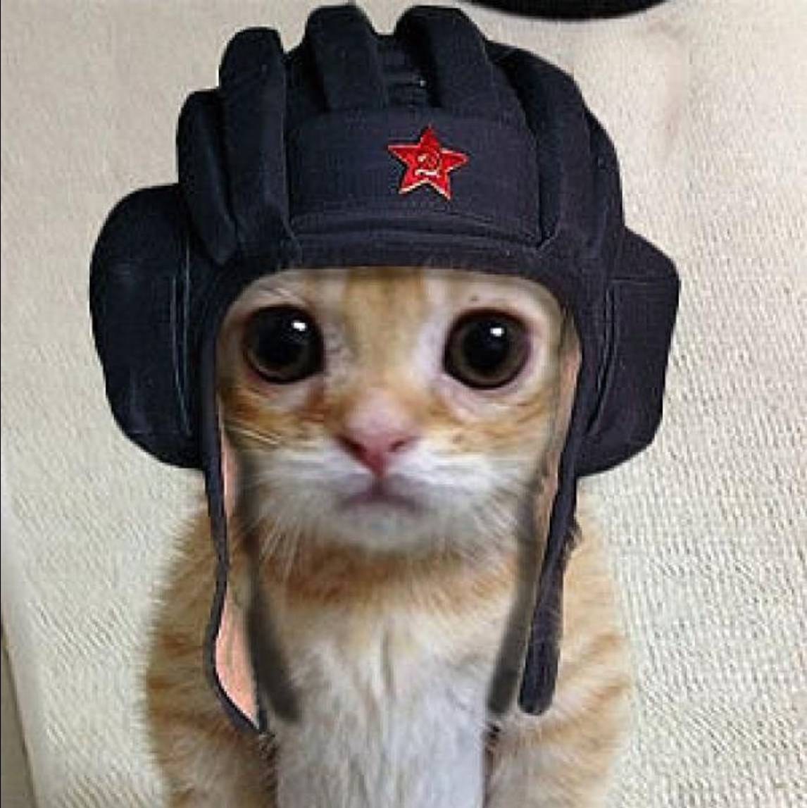 Иконка канала Pressdone_BR