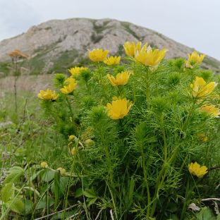 Иконка канала Алия Бикмухаметова
