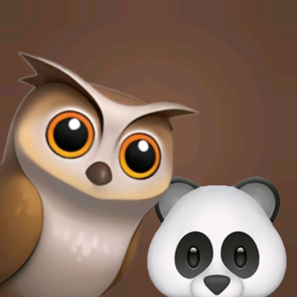 Иконка канала Финда 🦉🐼🧋