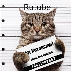 Иконка канала Pycckuu Sasha в рутубе
