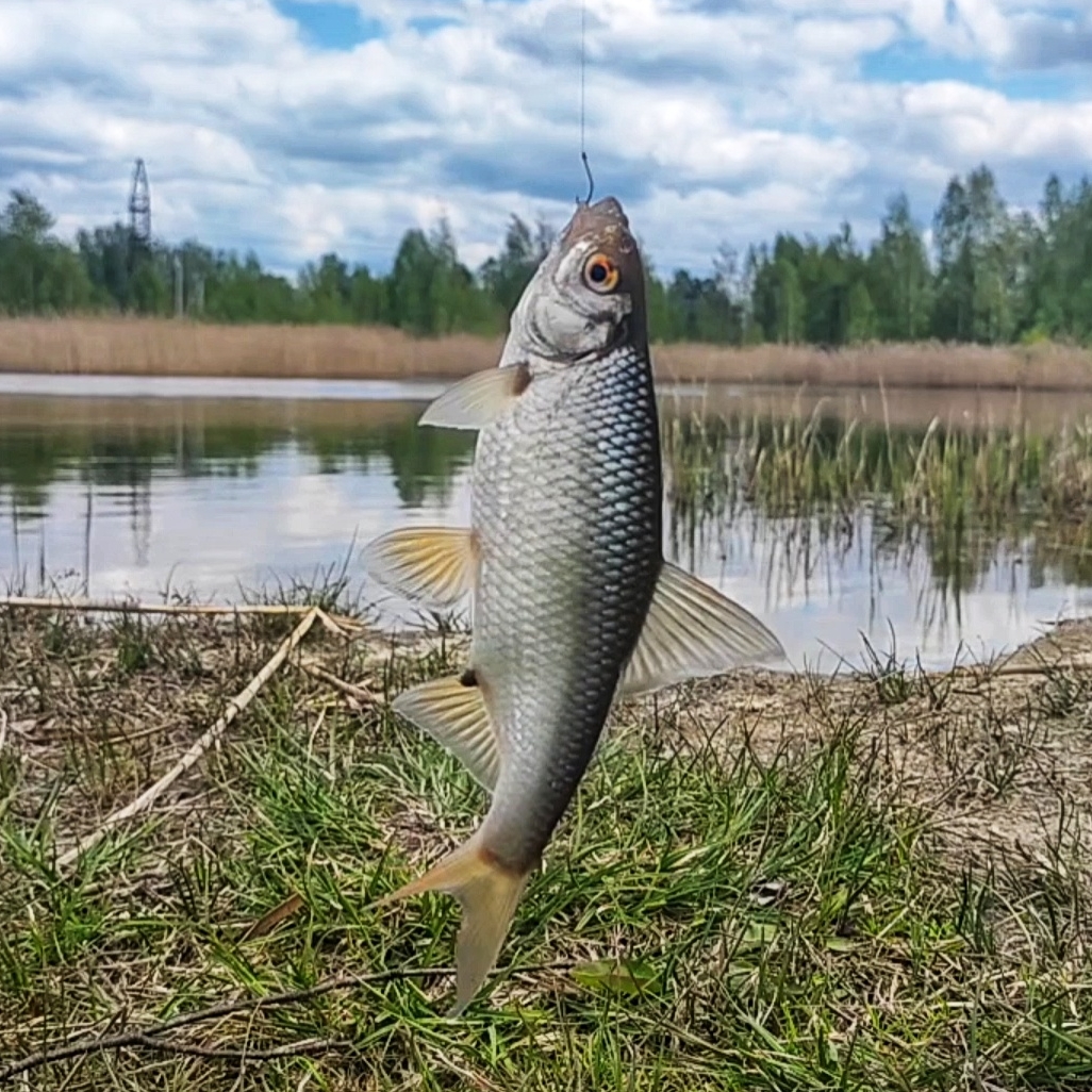 Иконка канала Анатолий Шавензов