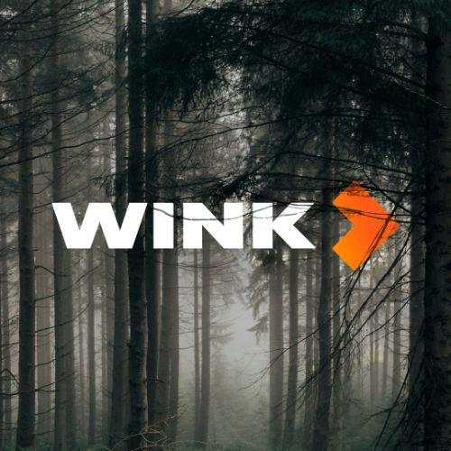 Иконка канала Wink