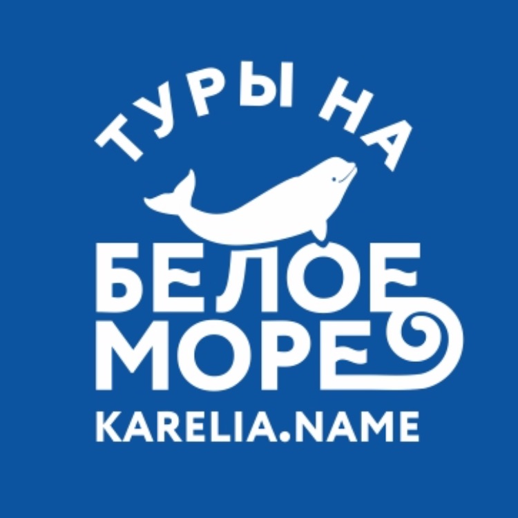 Иконка канала БЕЛОЕ МОРЕ отдых. ПУЛОНГА. КОЛЕЖМА