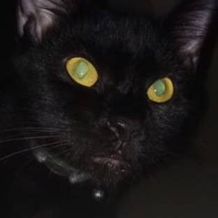 Иконка канала Син Крипта