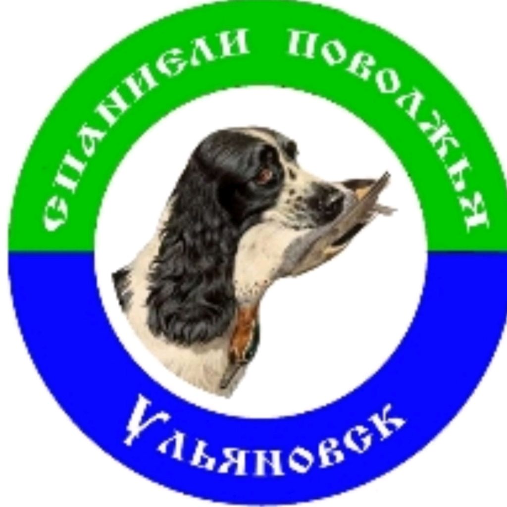 Иконка канала Русский Охотничий Спаниель Ульяновск