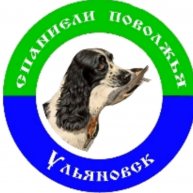 Иконка канала Русский Охотничий Спаниель Ульяновск