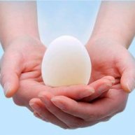 Иконка канала ZENYER Россия