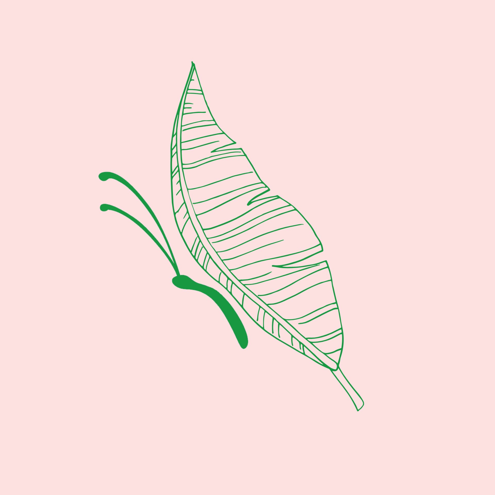 Иконка канала Парк бабочек Paradise