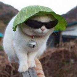 Иконка канала Зепикс