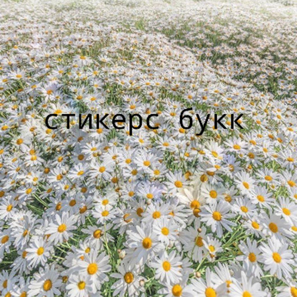Иконка канала Бумажные сюрпризы