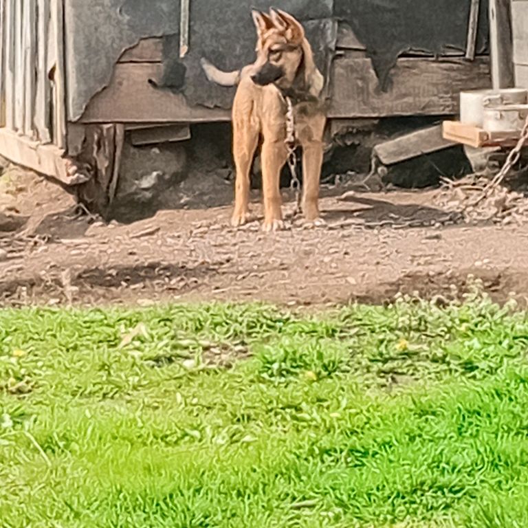 Иконка канала Чари Влог❤❤❤