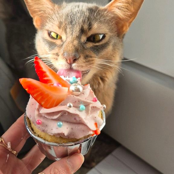 Иконка канала Sova_Cat