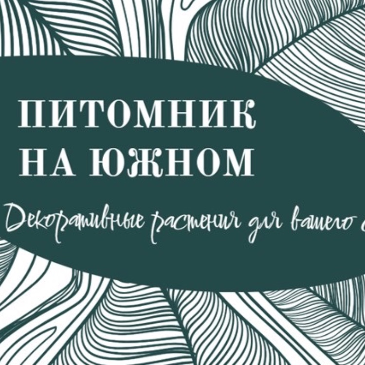 Иконка канала Питомник на Южном(декоративные растения)