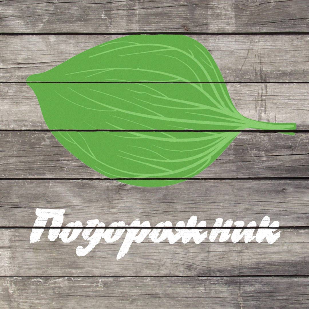 Иконка канала Подорожник