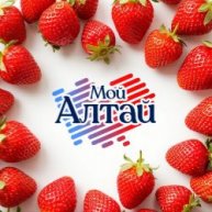 Иконка канала Благотворительный фонд «Мой Алтай»