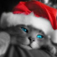 Иконка канала Piter Pen