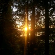 Иконка канала Мария Кочеткова.