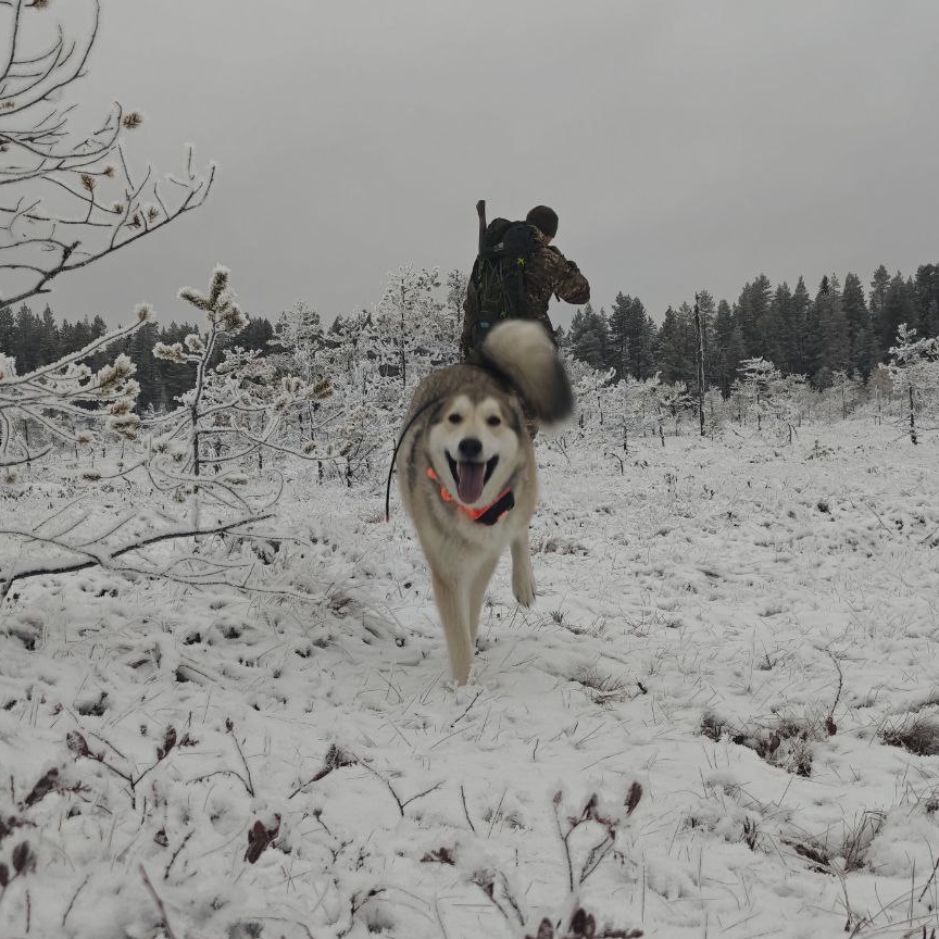 Иконка канала ПУТЬ ОХОТНИКА