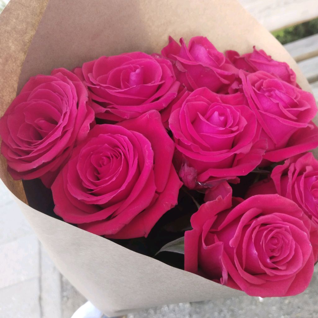 Иконка канала Света Сью 🌷💝