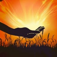 Иконка канала По дороге к солнцу | ЗооСвет