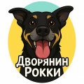 Иконка канала Дворянин Рокки