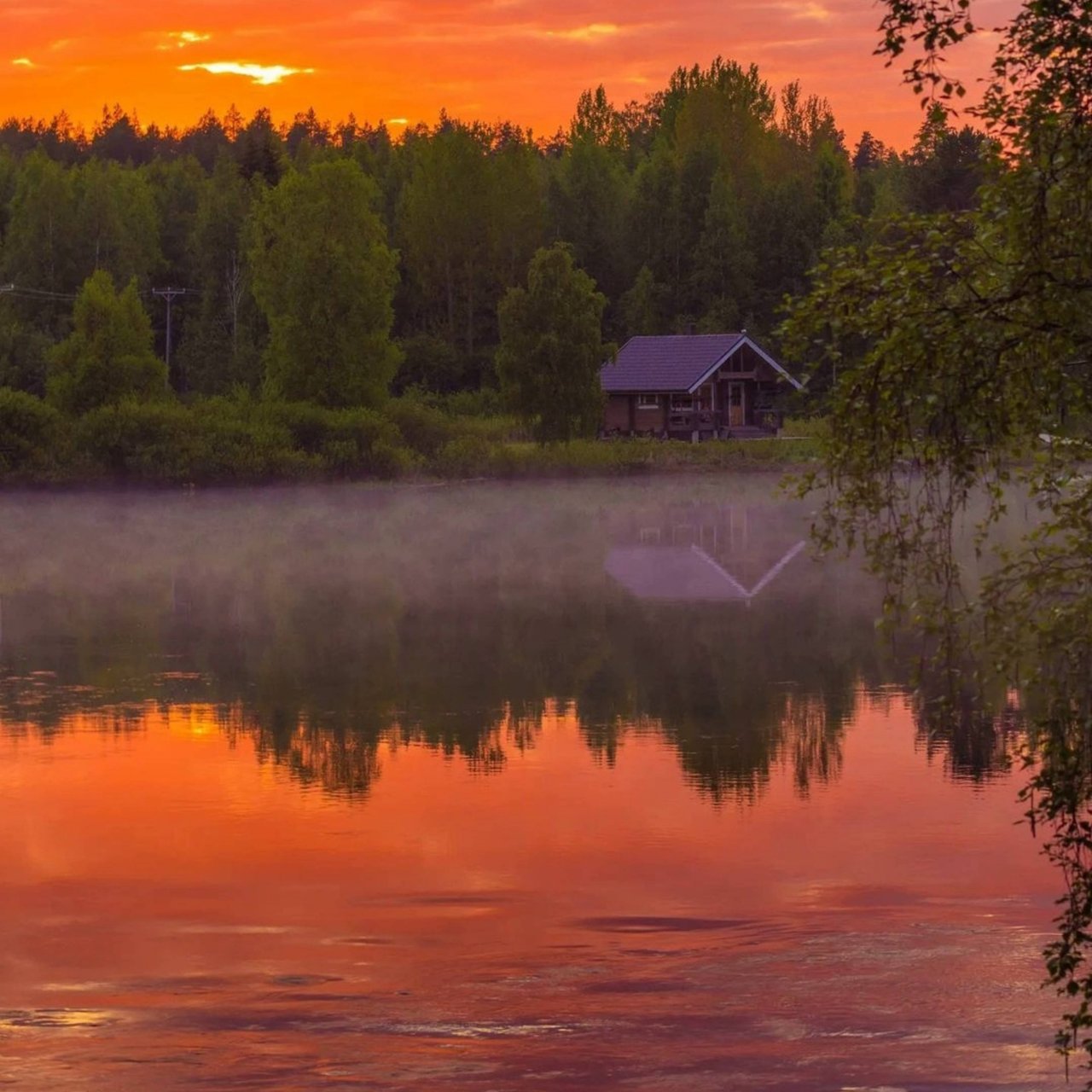 Иконка канала zliden