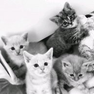 Иконка канала Надежда Медакова