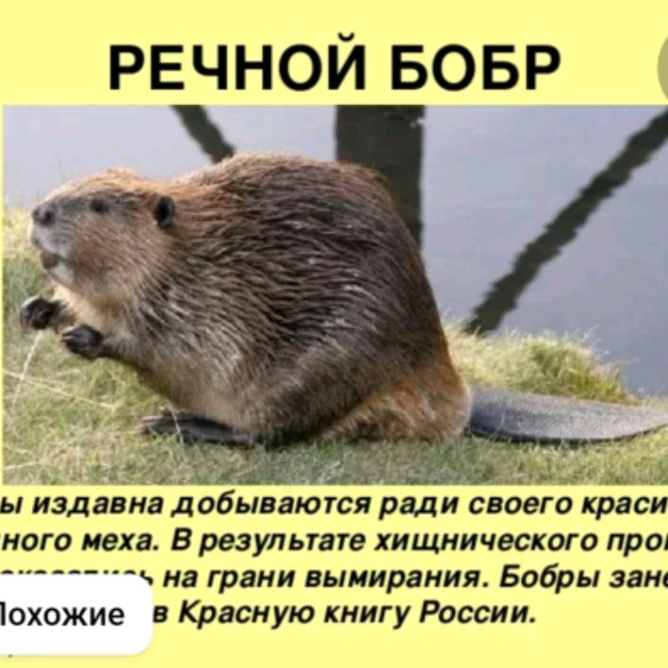Иконка канала Ттб