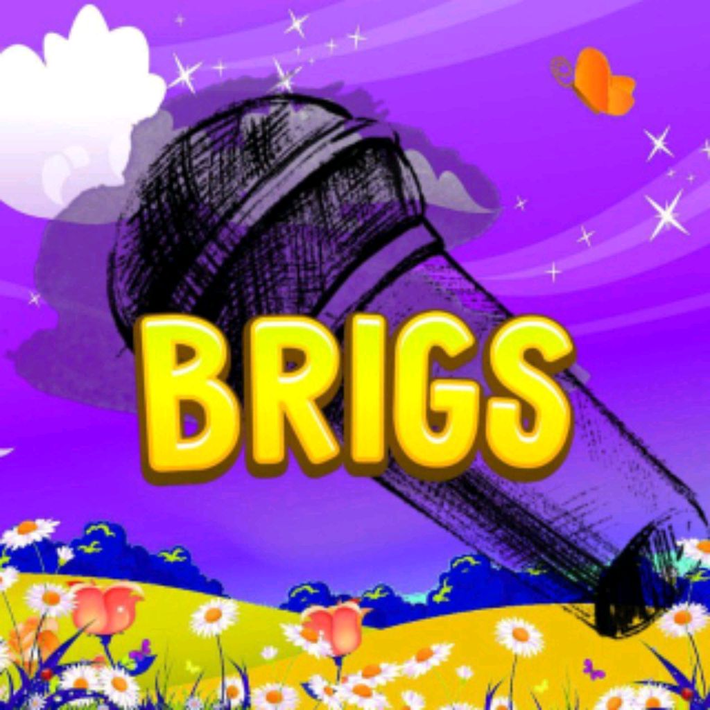 Иконка канала BRIGS Озвучка