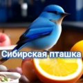 Иконка канала Рецепты - Сибирская пташка готовит