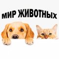 Иконка канала ✅МИР ЖИВОТНЫХ