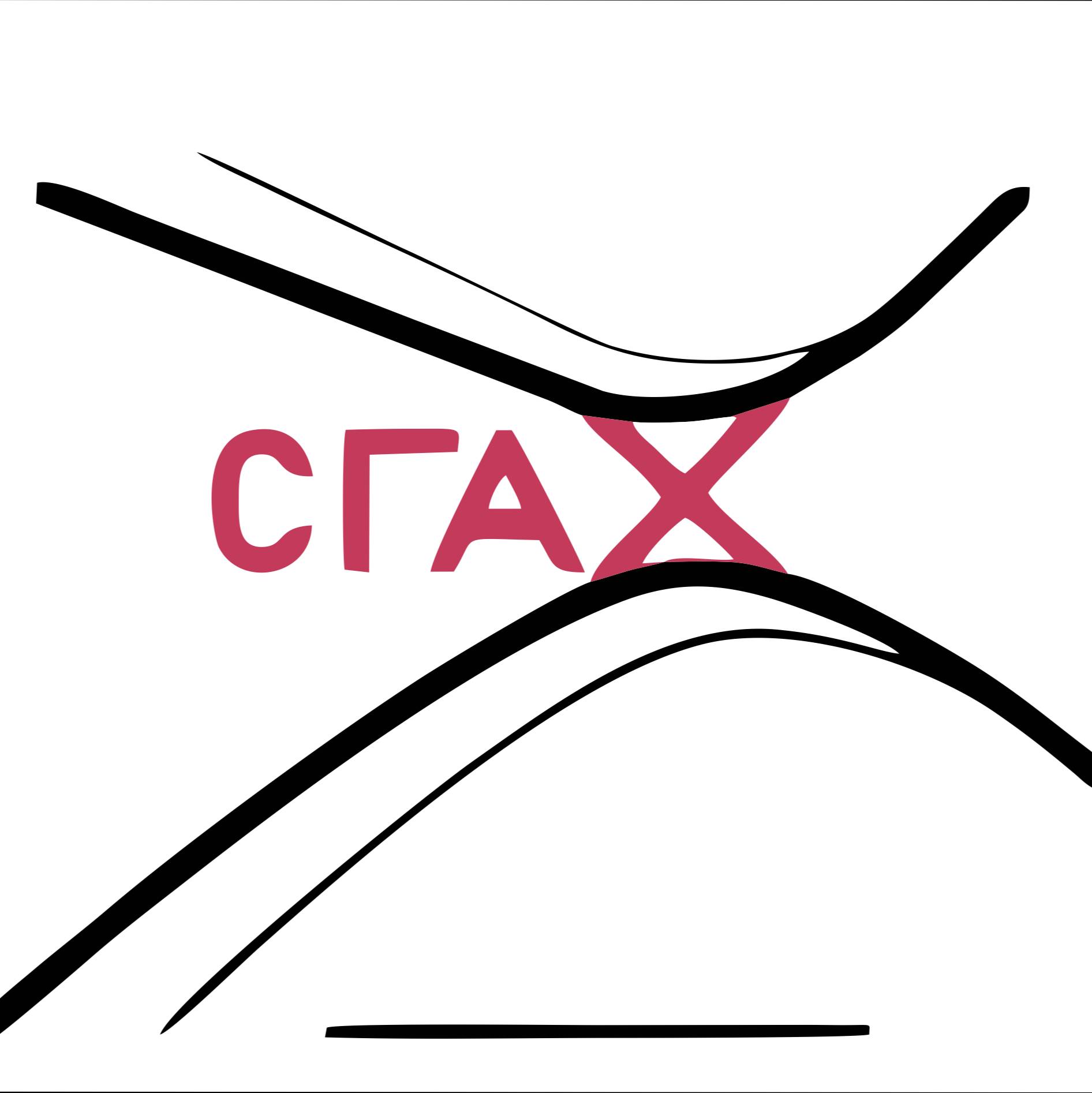 Иконка канала СГАХ: Академия хореографии, г. Севастополь