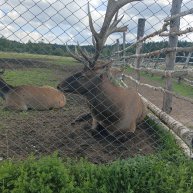 Иконка канала Природа, туризм и отдых.