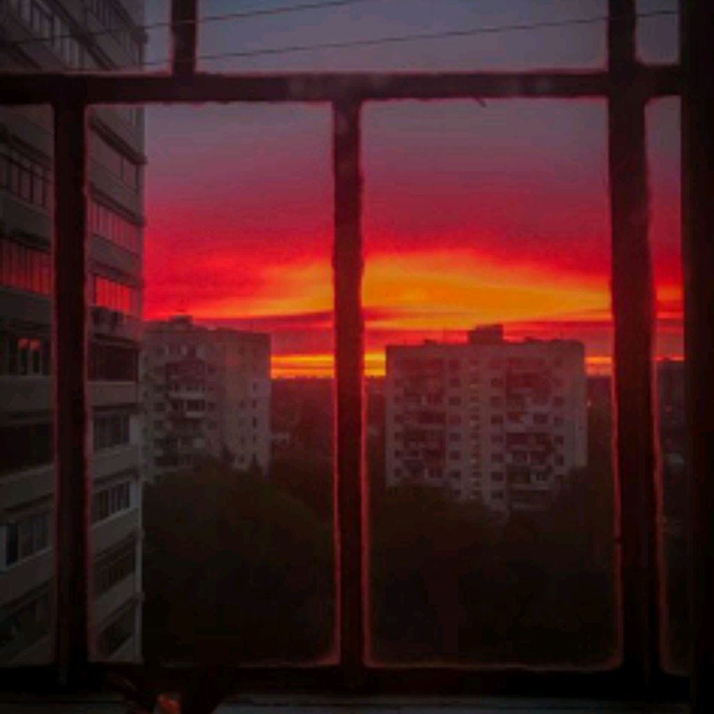 Иконка канала Животные И Гача