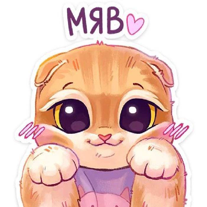 Иконка канала Flyffu Kotik Meow meow