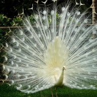 Иконка канала Марина МИРРОУ