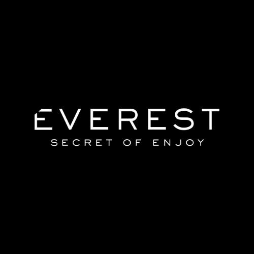 Иконка канала Everest Group