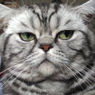 Иконка канала DavydovRus