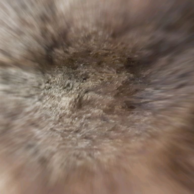 Иконка канала корней