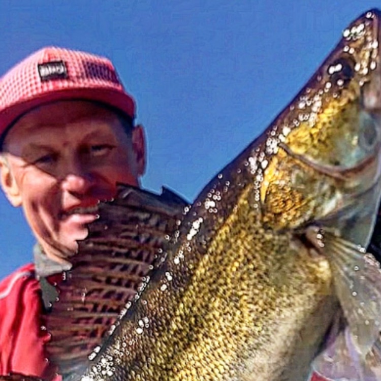 Иконка канала SERGEY CHAMPION - FISHERMAN