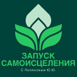 Иконка канала Запуск Самоисцеления